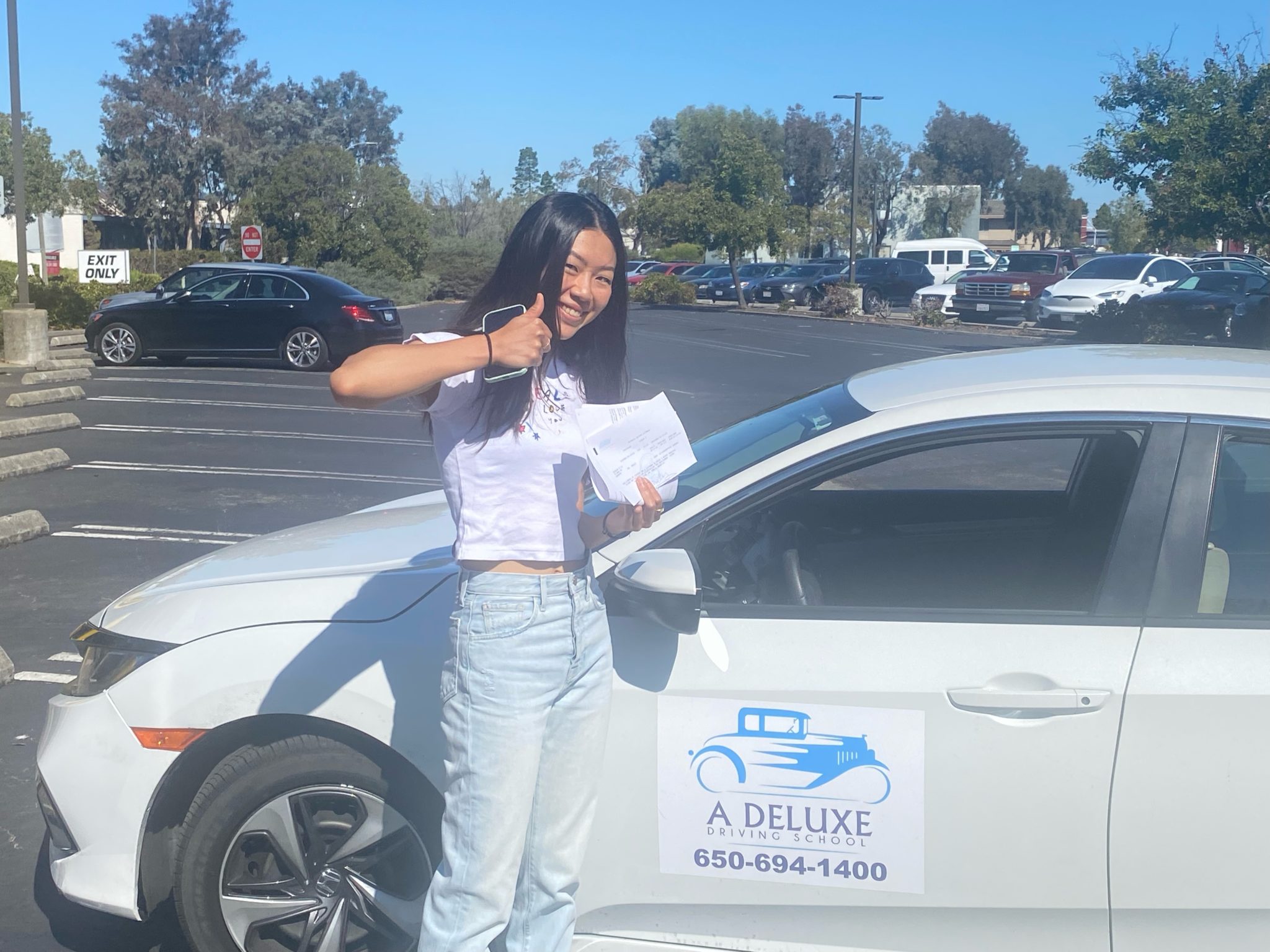 Deluxe Driving School - DMV Certified Drivers ED & Lessons